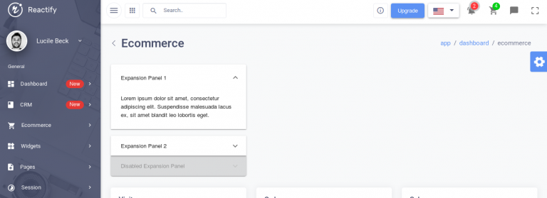 Expansion Panel – Reactify